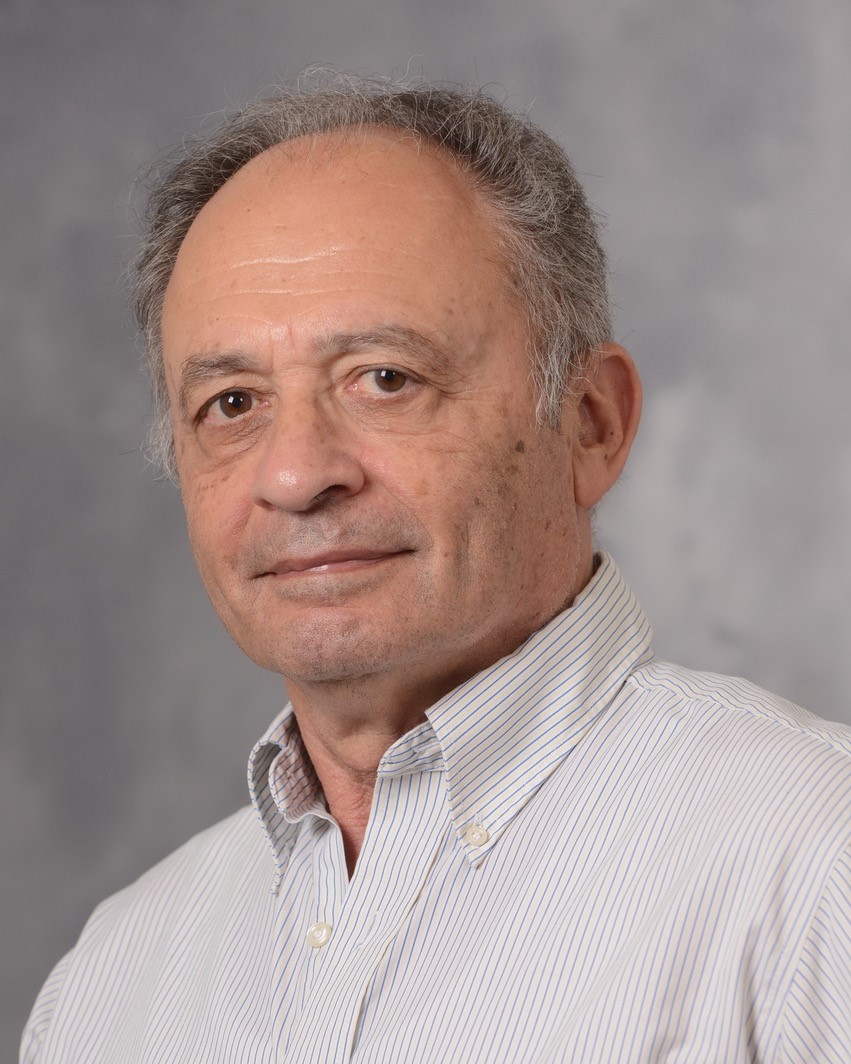 Catalysis: A Key to Sustainability - David Milstein